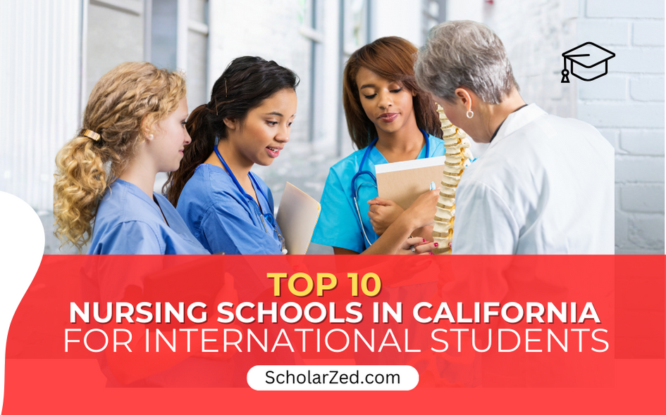 Best 10 Nursing Schools in California for International Students ...