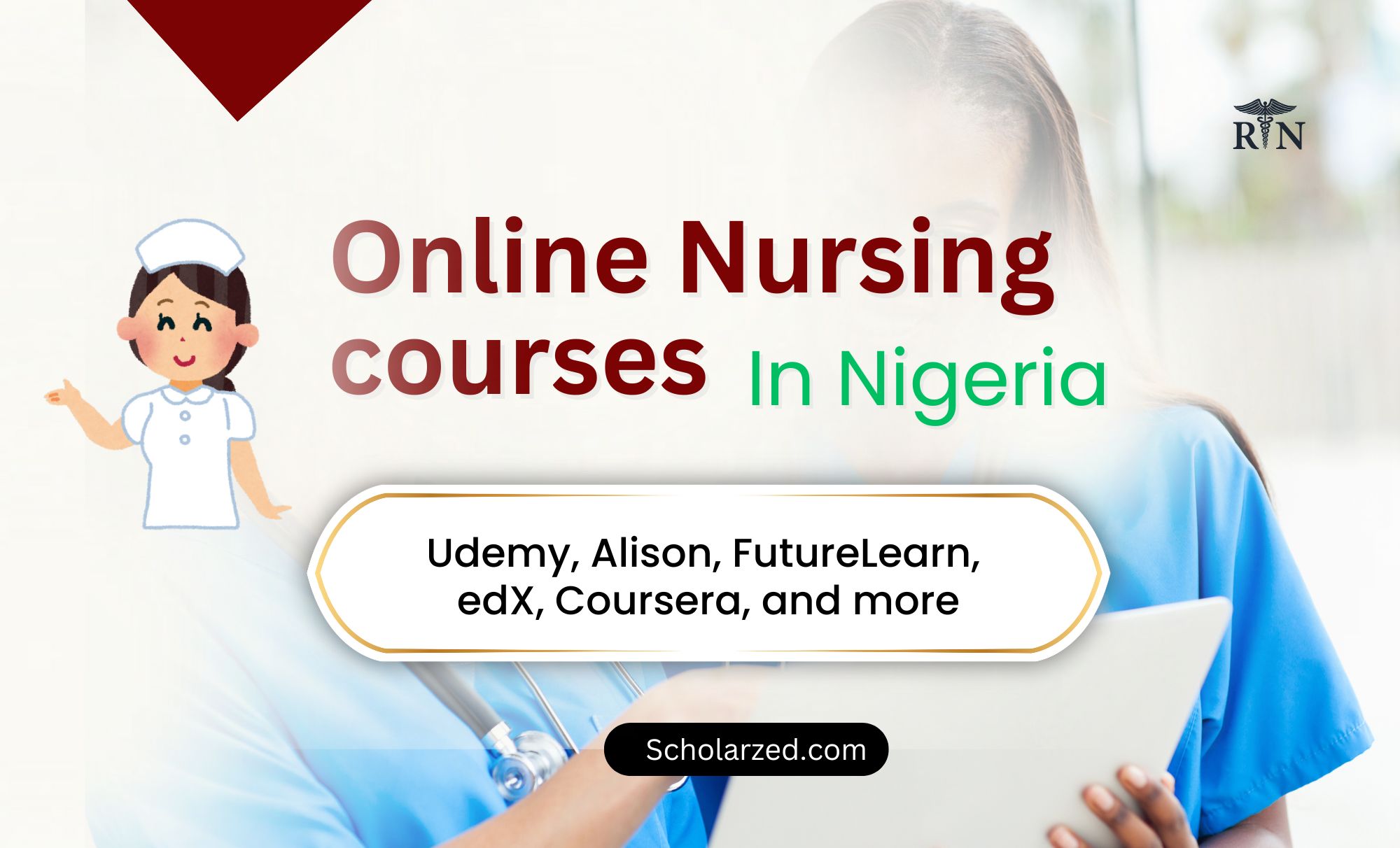 Online Nursing Courses in Nigeria - Scholar Zed